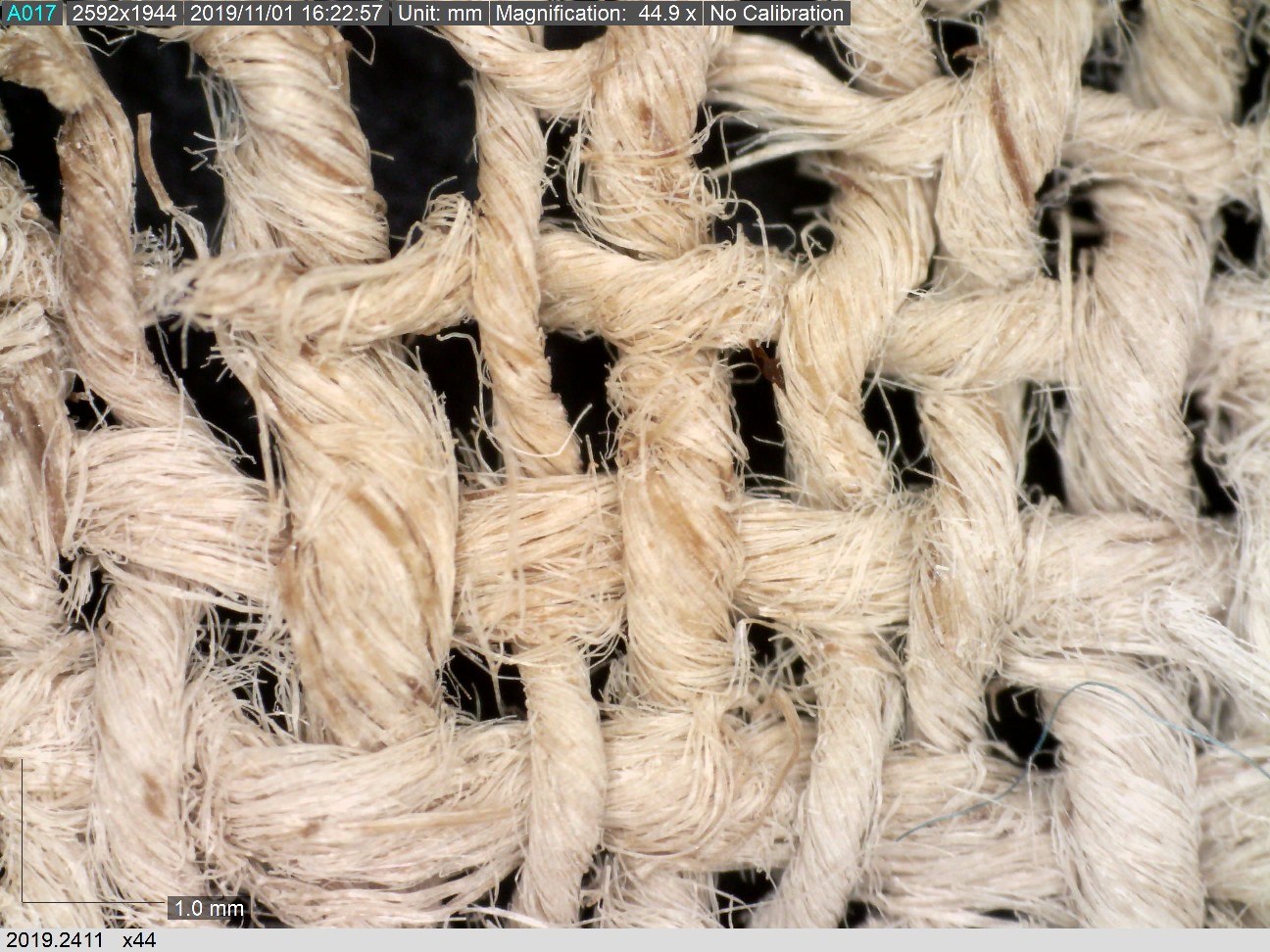 Qumran Cave 1Q Textiles Found in Leiden – Dispersed Qumran Cave ...